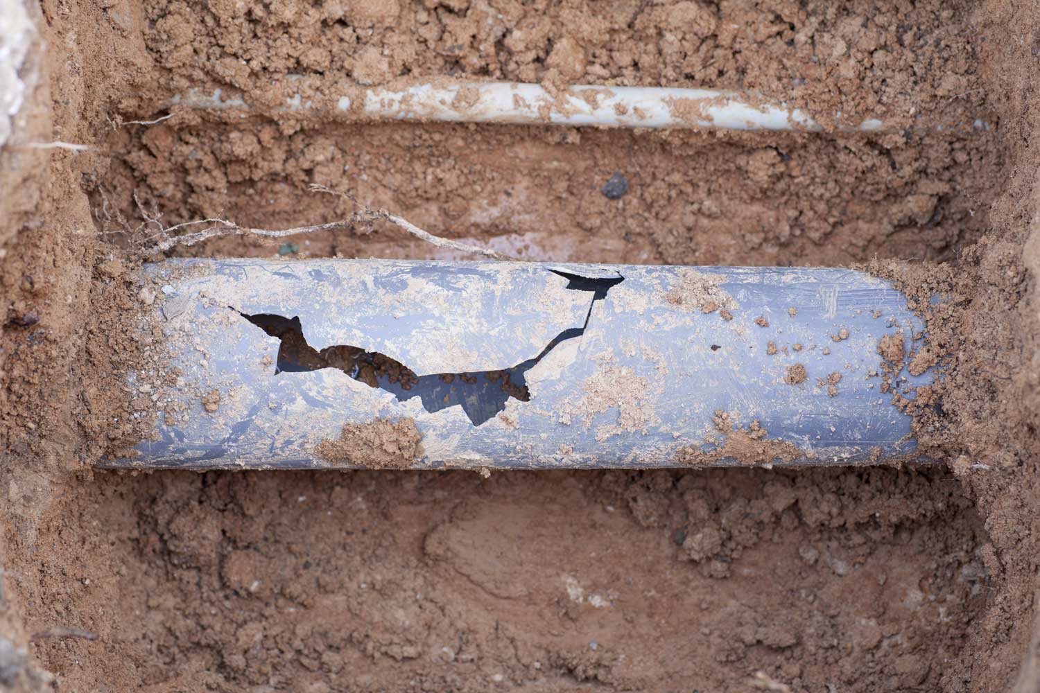 sewer backup what steps to take - Trax Restoration